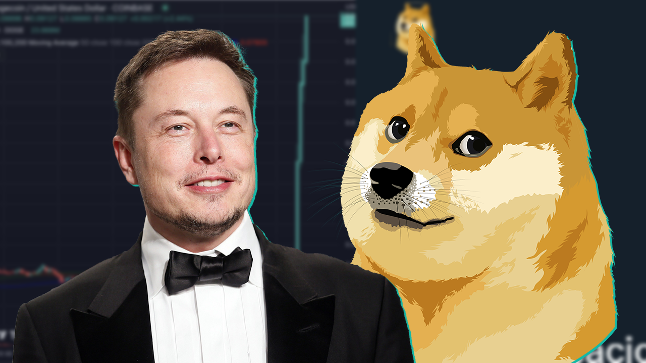 ¿Qué está pasando con Doge y Twitter?